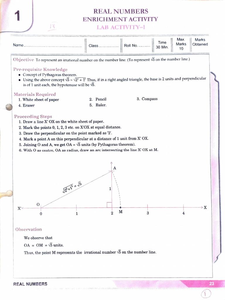 Class 9 Maths Holiday Homework | PDF