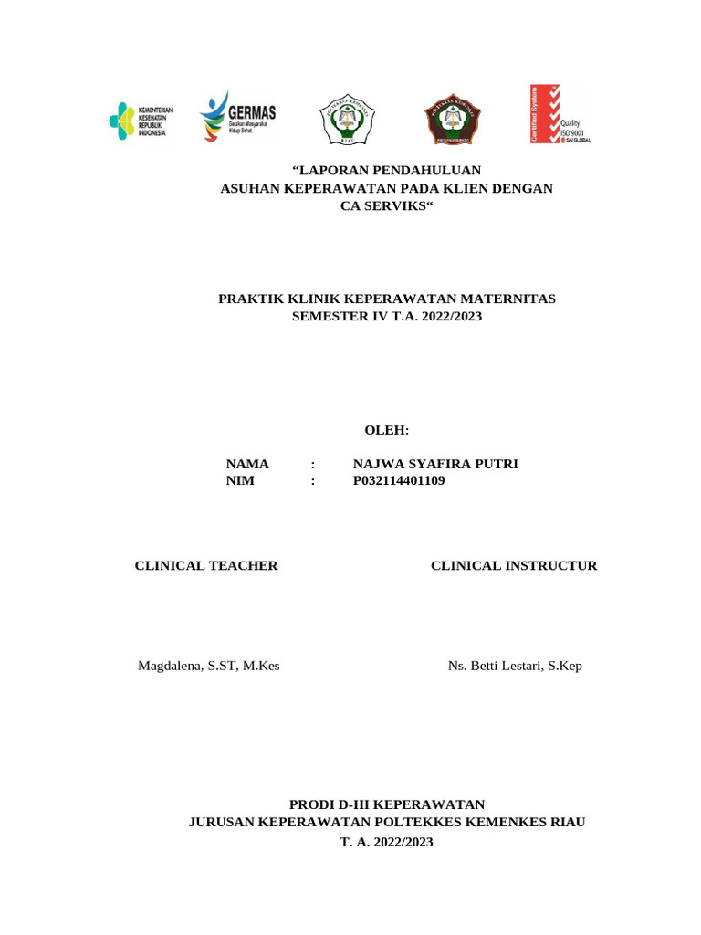 LP CA Serviks Chaca | PDF