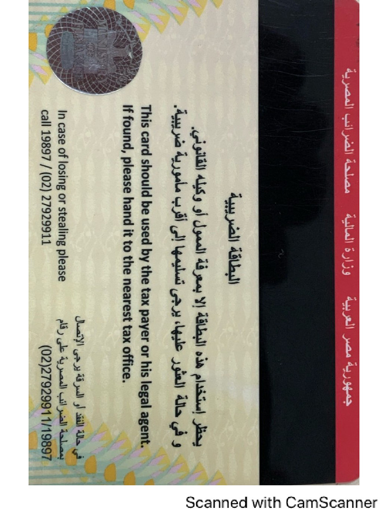 Cscec Steel Egypt Co. LTD. - Tax ID | PDF