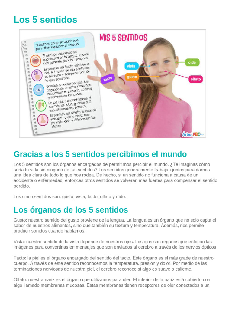 Los 5 Sentidos | PDF | Sentidos | Gusto