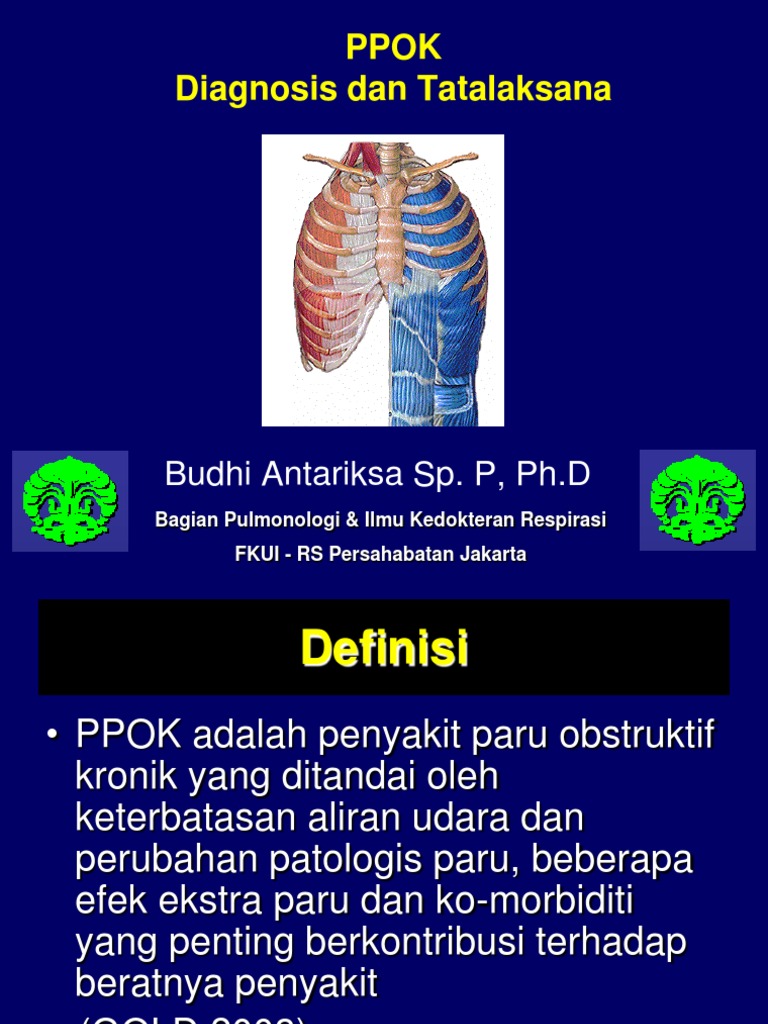 PPOK | PDF