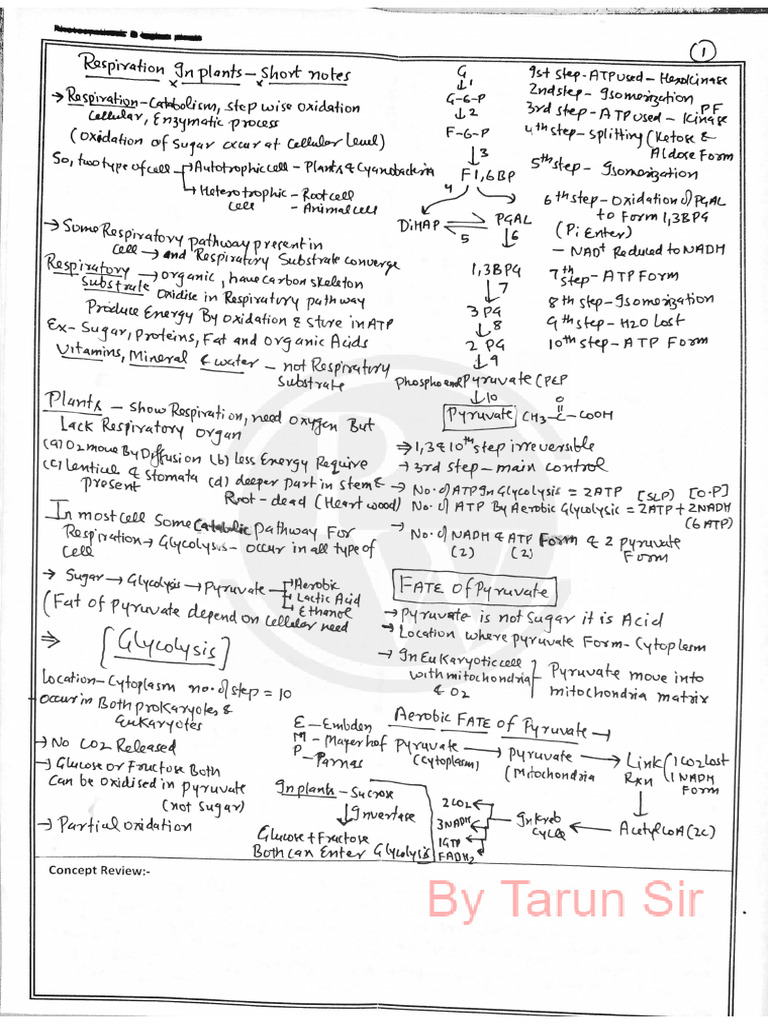 Respiration in Plants Short Notes | PDF