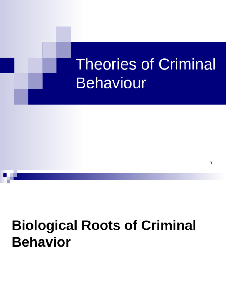 Theories of Criminal Behaviour L | PDF
