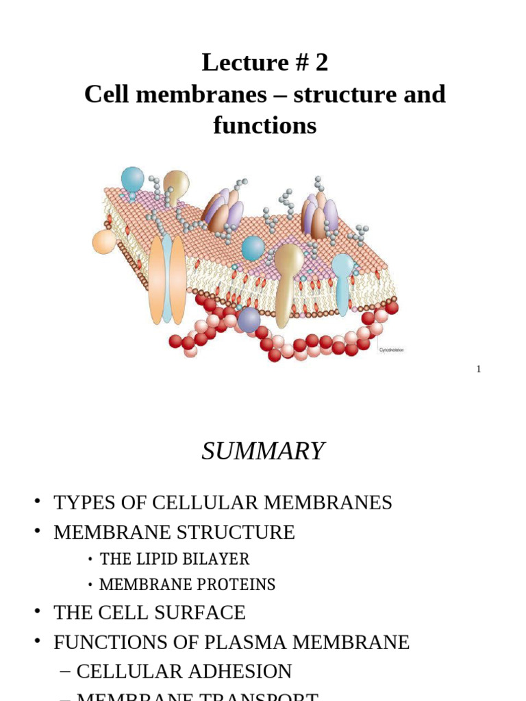 Lecture 2-7 | PDF