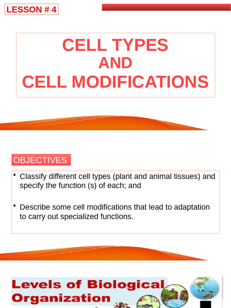 Lesson 4 Cell Types and Modifications | PDF