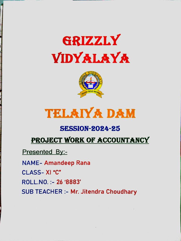 Accounts Project | PDF