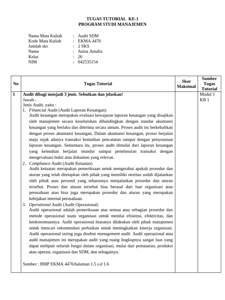 Tugas 1 - Audit SDM - Anisa Amalia | PDF