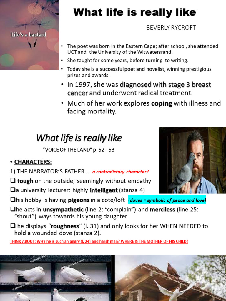 Analysis of "What Life Is Really Like" | PDF | Poetry