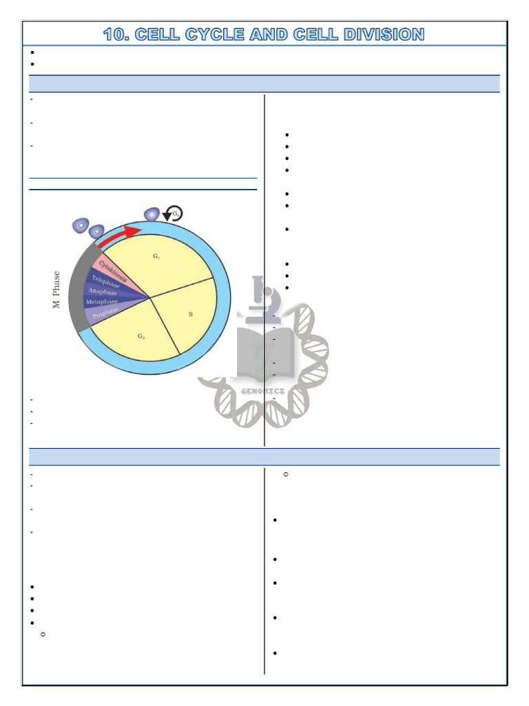 Chapter 10 - Cell Cycle N Cell Division | PDF