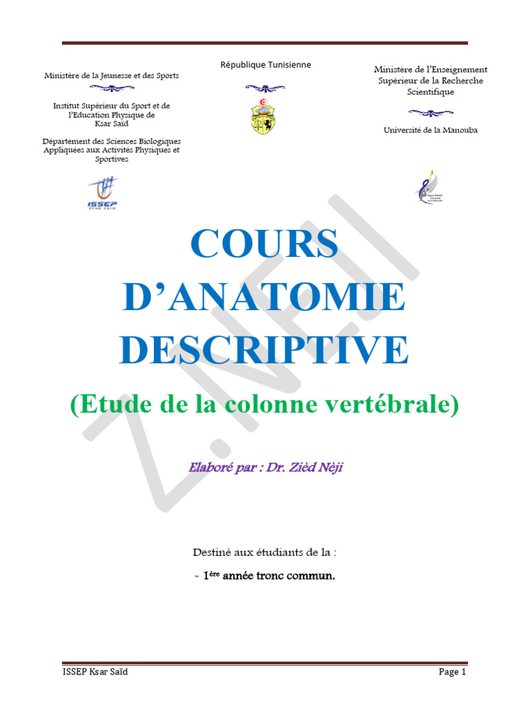 Etude de La Colonne Vertébrale | PDF