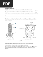 Osmosis Jones Worksheet | PDF