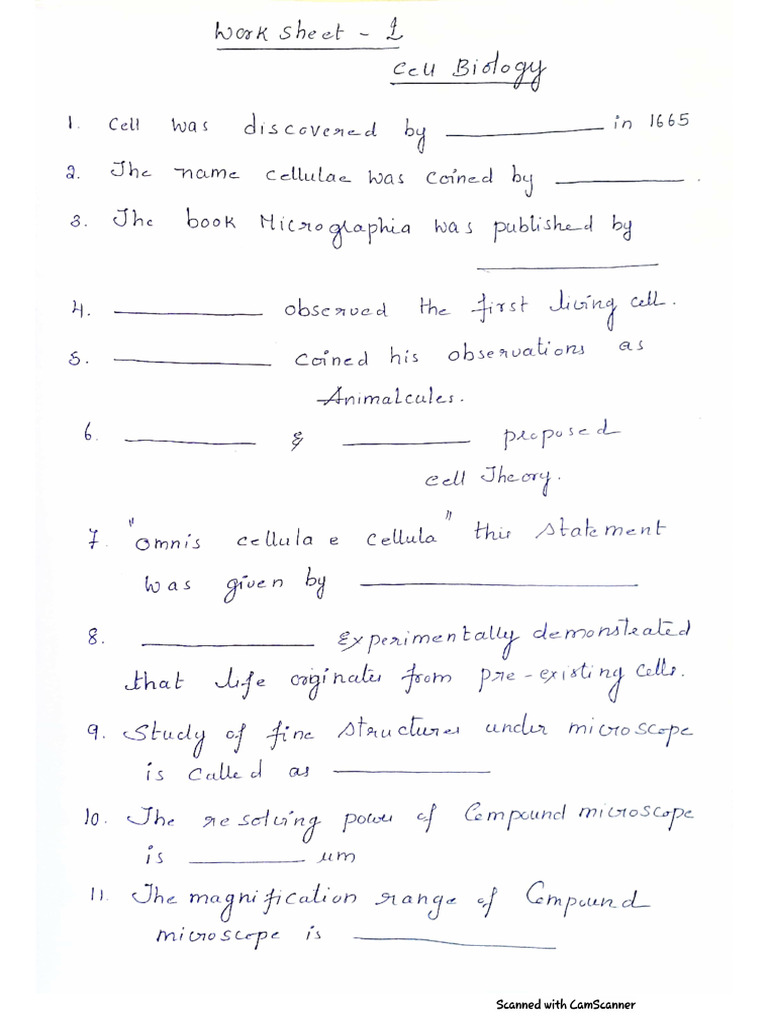Class 9 Work Sheet Bio | PDF