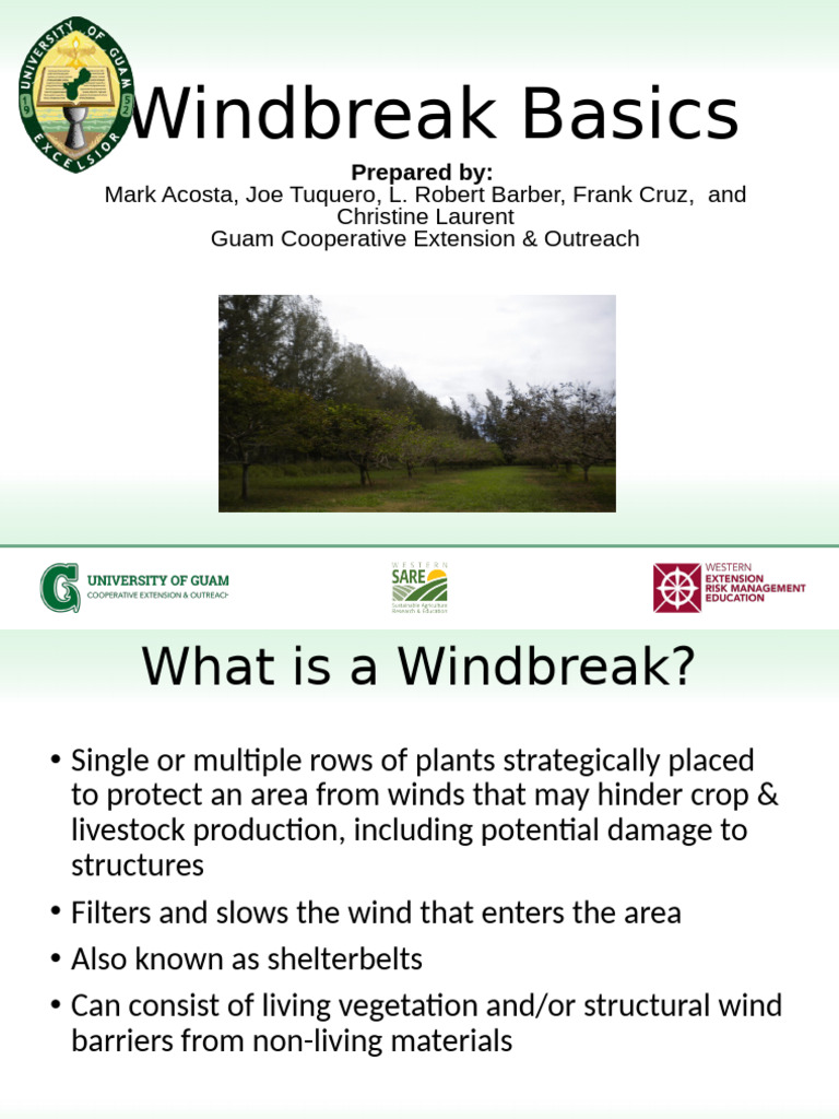 Windbreaks | PDF