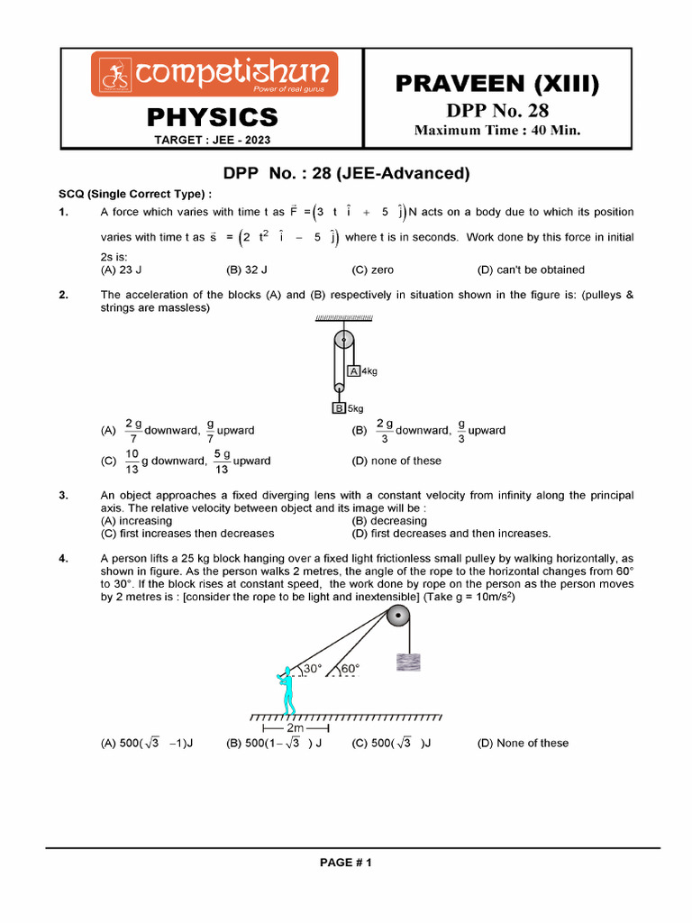 DPP No. 28 - PC | PDF