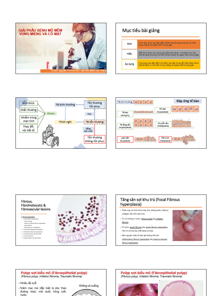 GPB Mô Mềm - TS. Chi | PDF