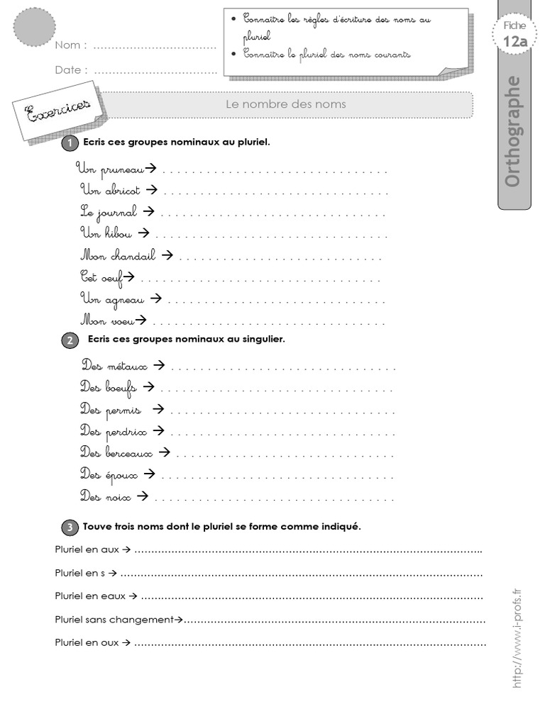 CM1 Exercices Pluriel Des Noms | PDF