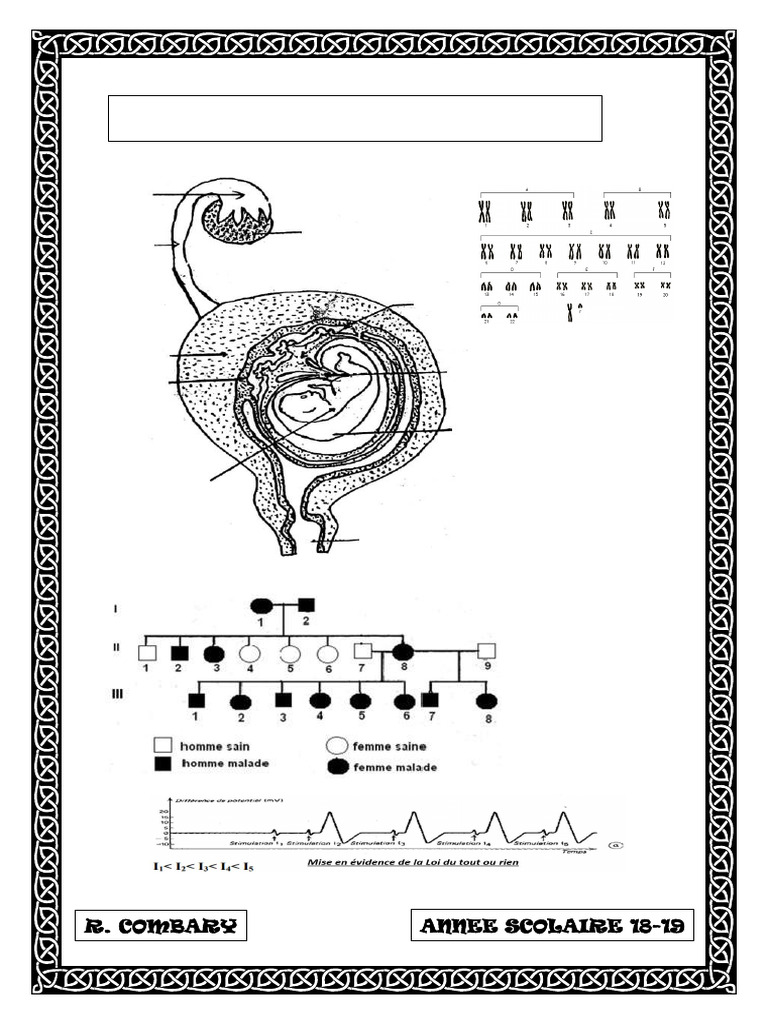 Recueil de Schemas SVT Tle D - 1 | PDF