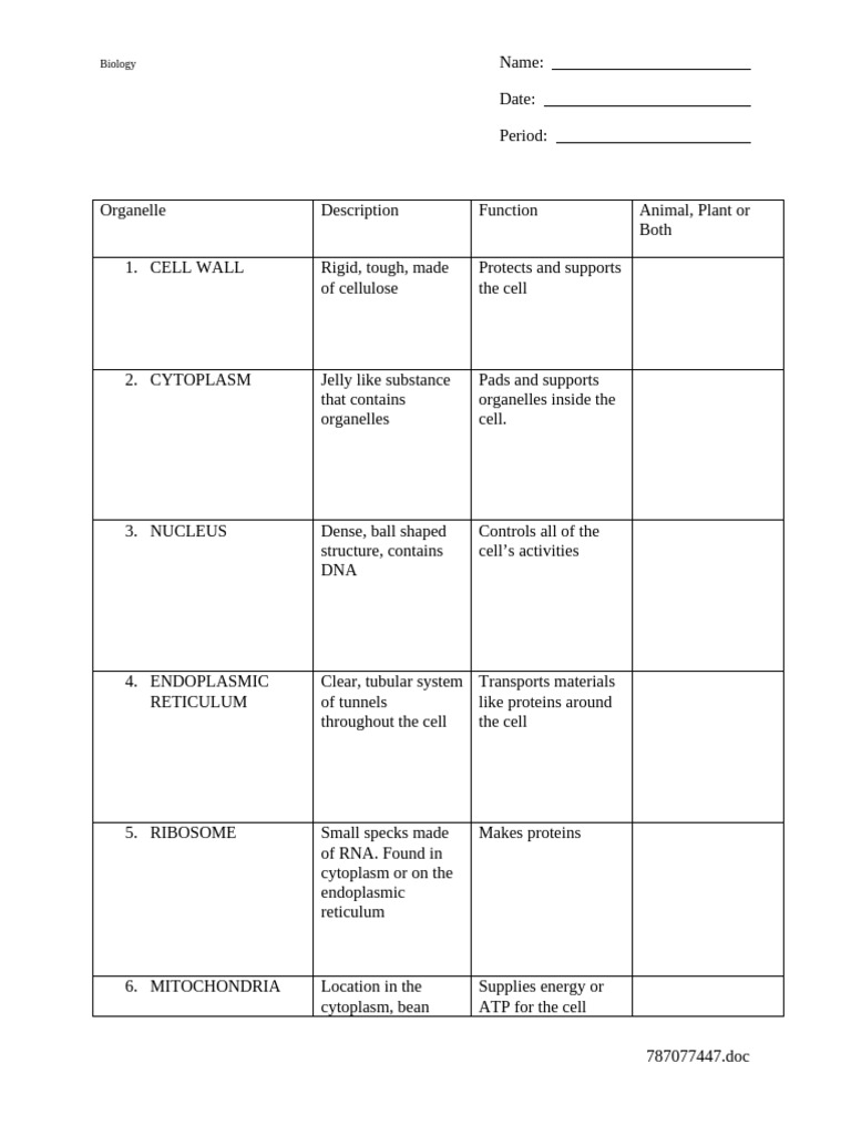 Cell Organelles Worksheet | PDF