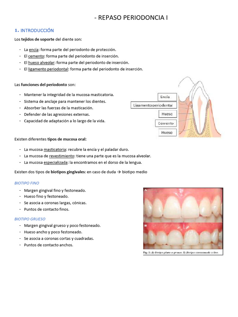 Temario Perio 2 Completo | PDF