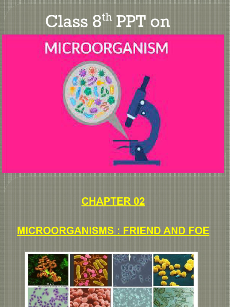 CH 2 Microorganisms 2 | PDF | Food Preservation | Microorganism