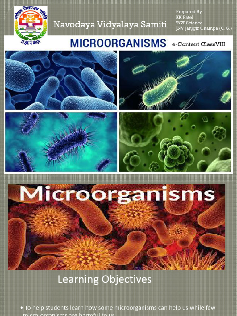 CH 2 Microorganisms 1 | PDF
