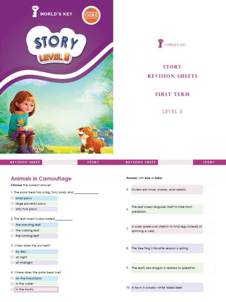 Storylvl 3 | PDF