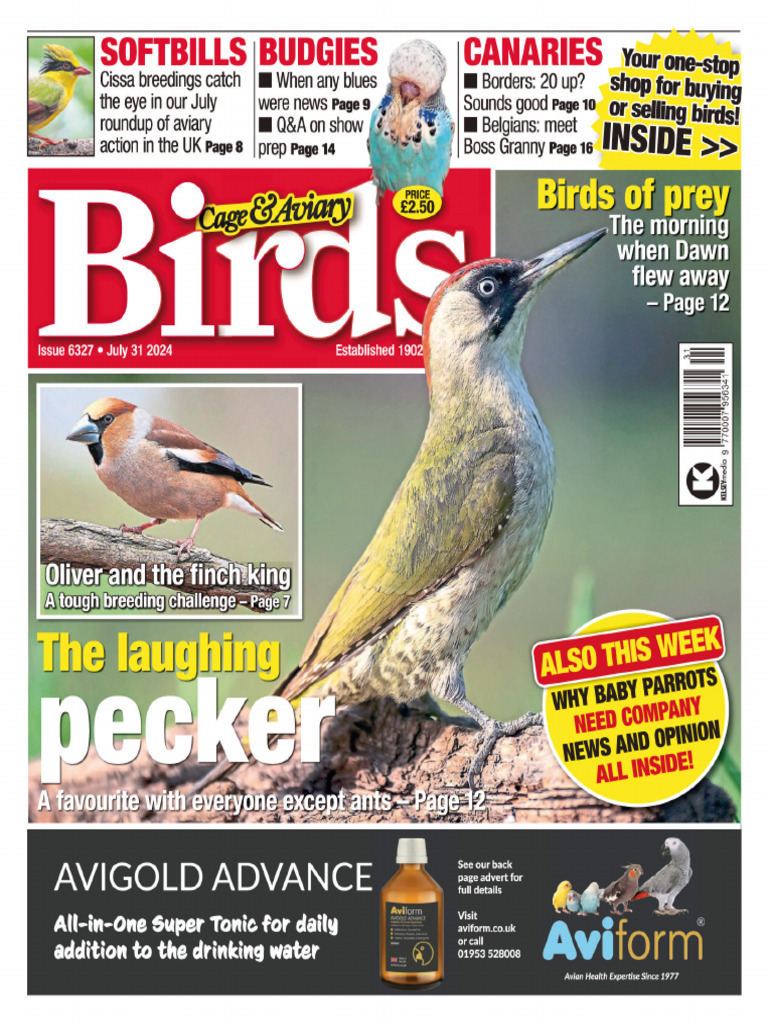 Cage Aviary Birds - July 31 2024 | PDF | Gastrointestinal Tract | Bird ...