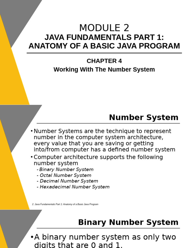 Module 2 - Ch4 - Working With The Number System | PDF