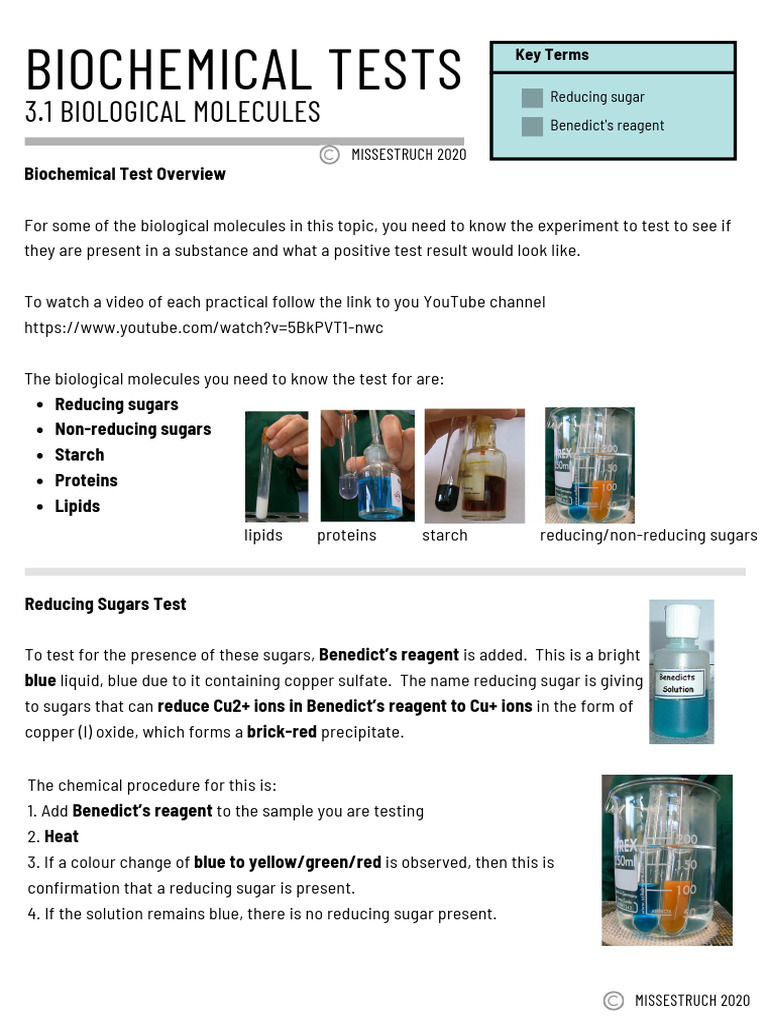 Biochemical Tests for Students | PDF | Biochemistry | Chemistry