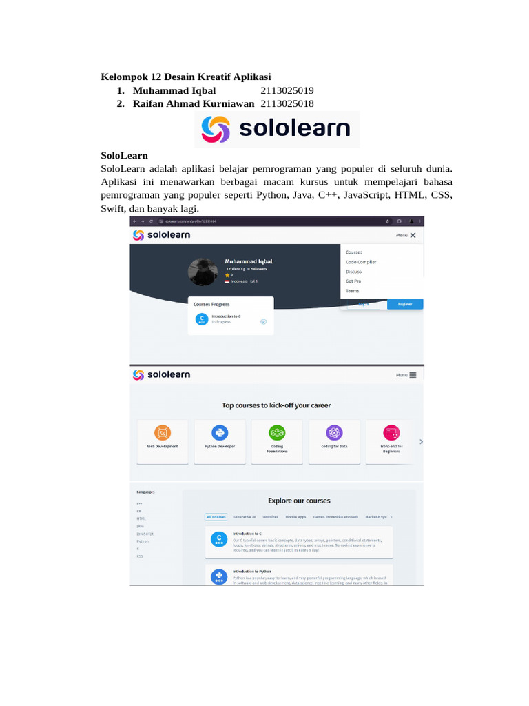 Solo Learn | PDF
