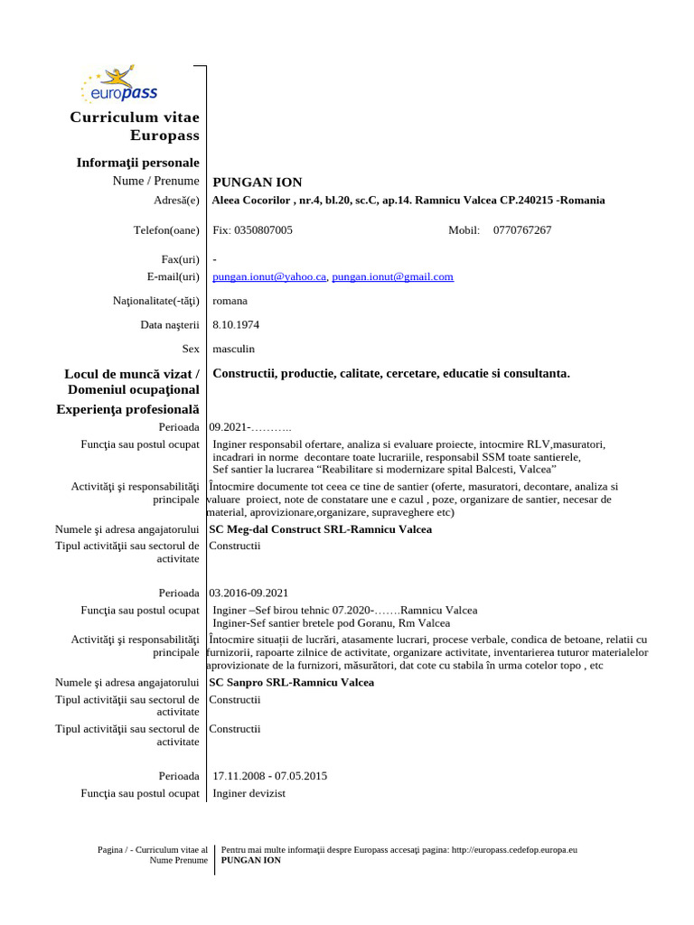 CV European Ro RO Fara Poza Ion | PDF