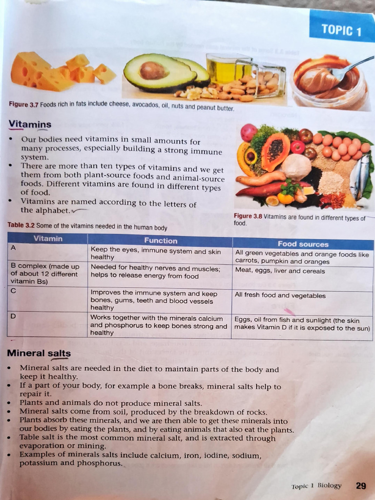 Nutrition | PDF