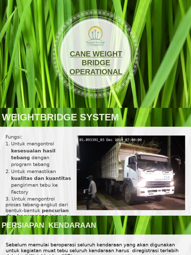 Cane Weight Bridge Operational | PDF