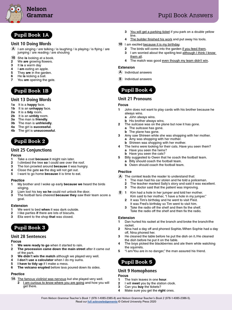 Nelson Grammar Answers 5 | PDF