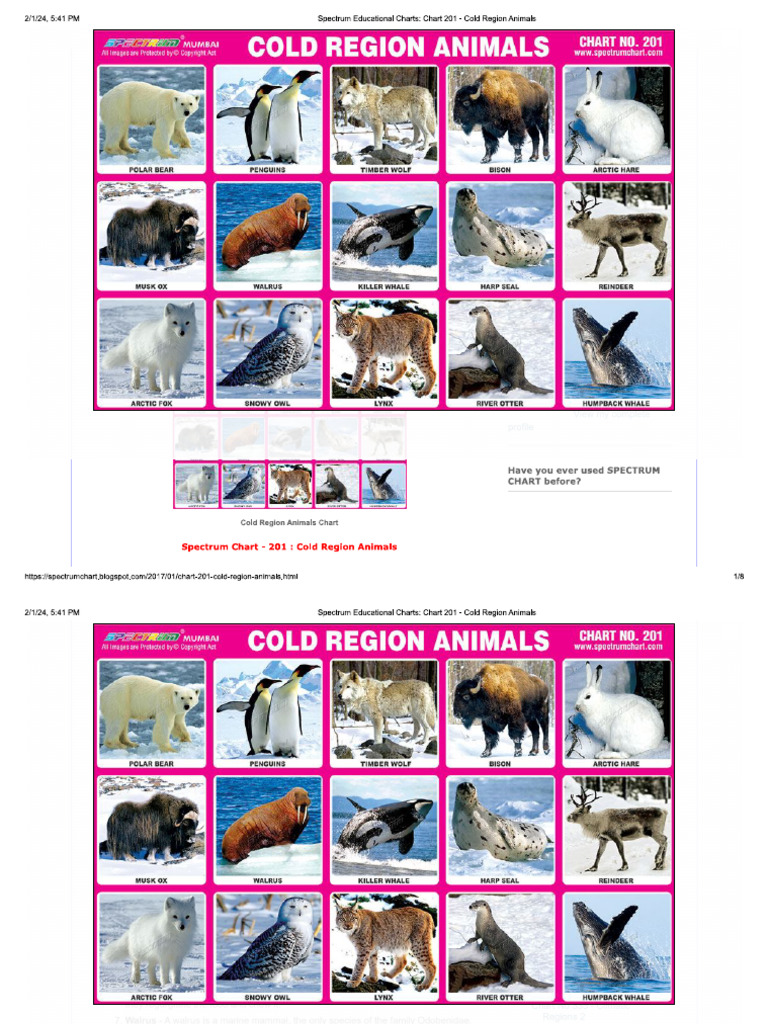 Spectrum Educational Charts - Chart 201 - Cold Region Animals | PDF