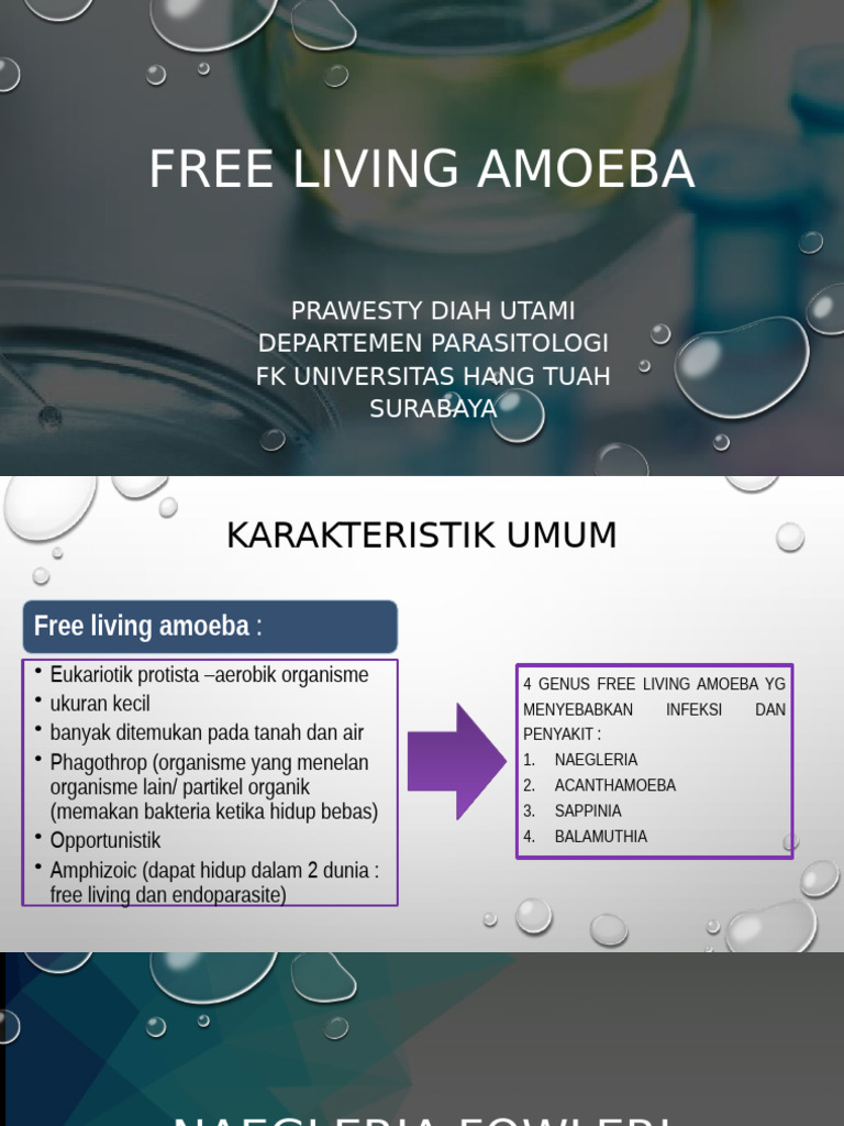 Free Living Amoeba 2023 | PDF
