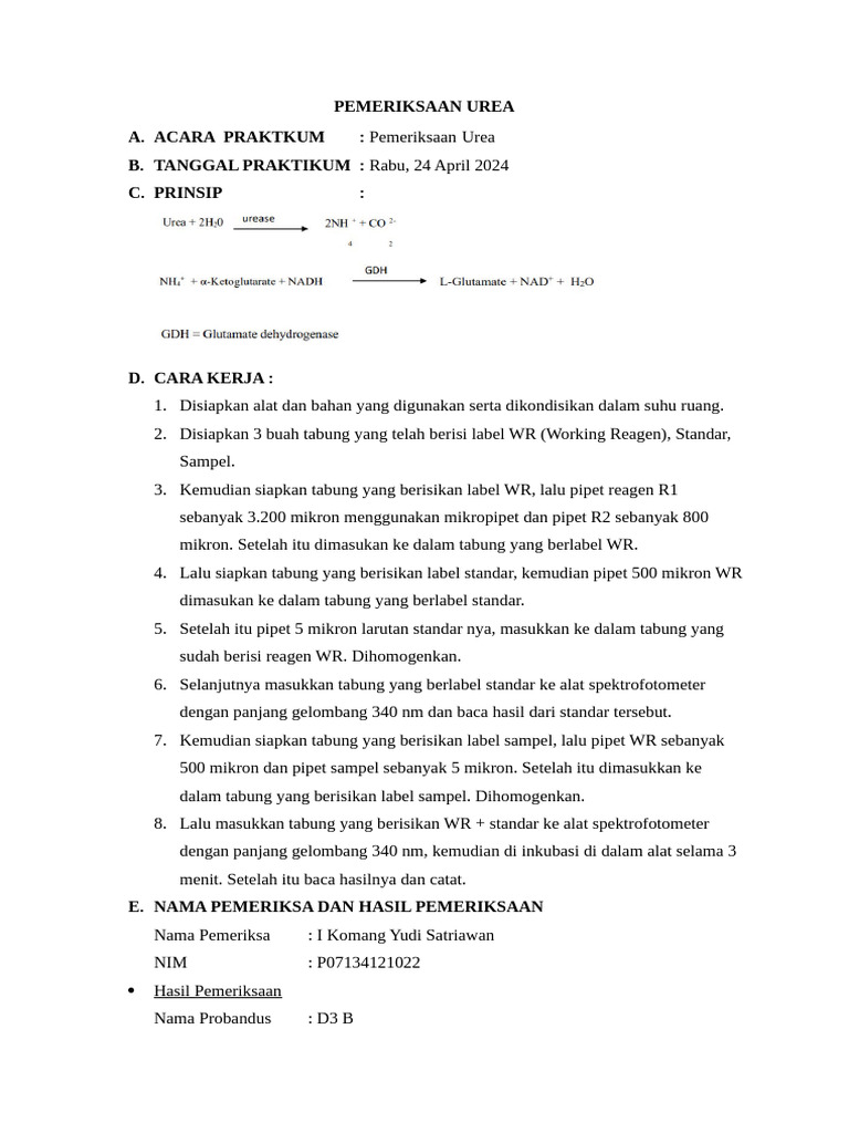 Pemeriksaan Urea | PDF