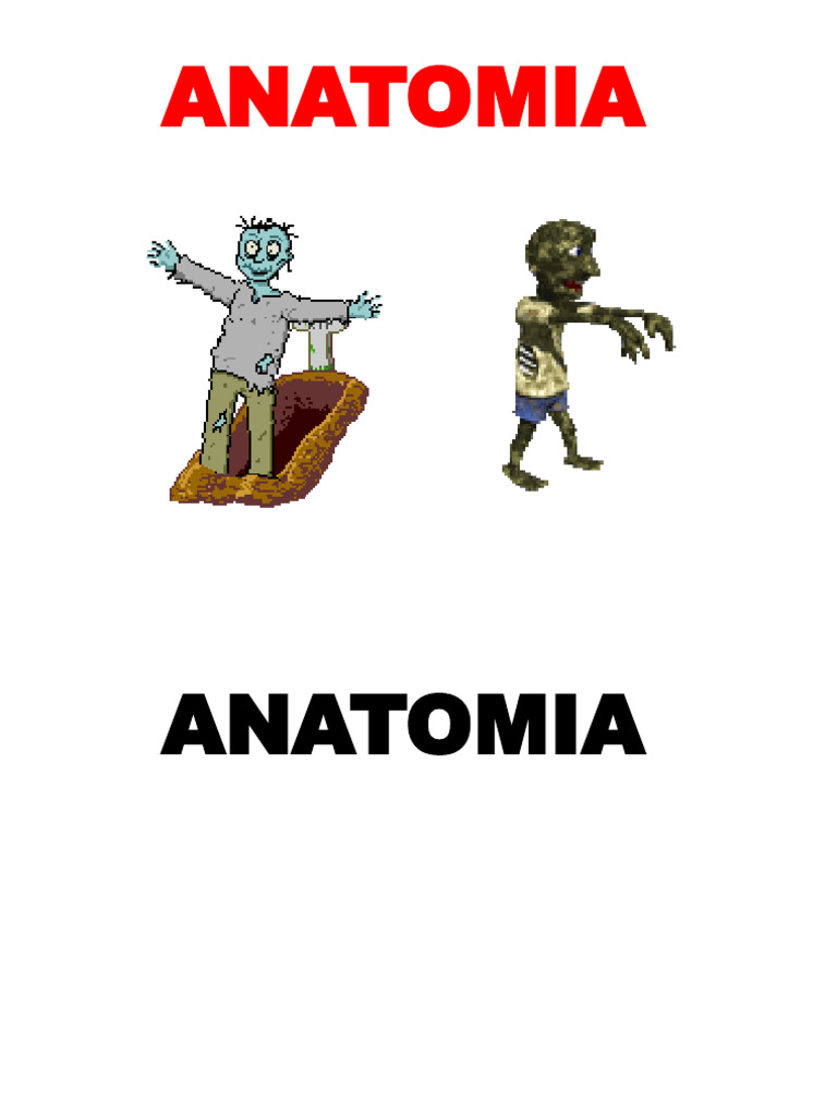 Introducao Anatomia Pdf