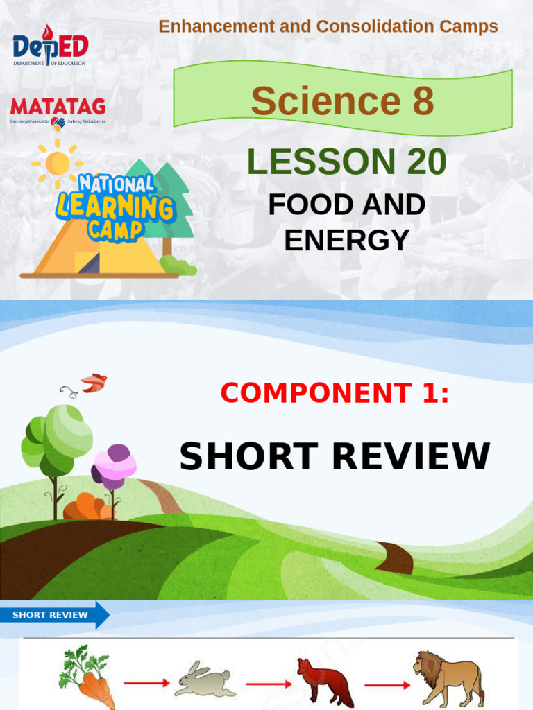 Lesson 20-SCIENCE 8 - LESSON 20 - FOOD AND ENERGY | PDF