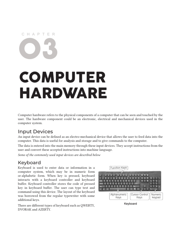 Computer Hardware: Input Devices | PDF