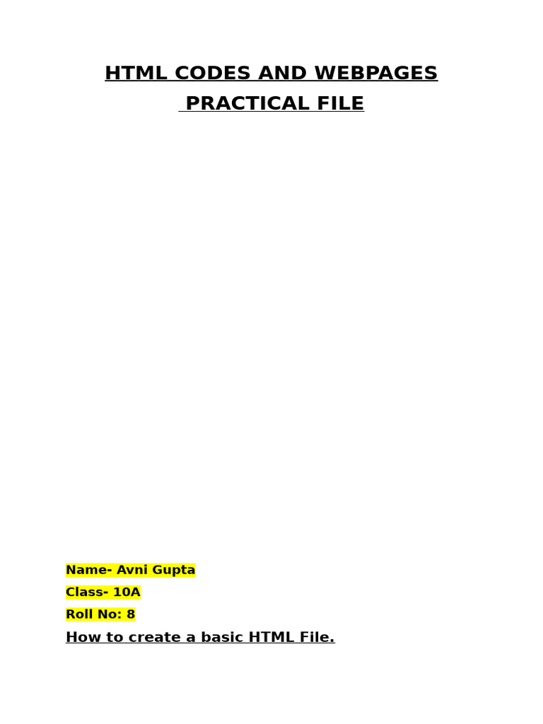 Practical File Computer Application (Code 165) | PDF