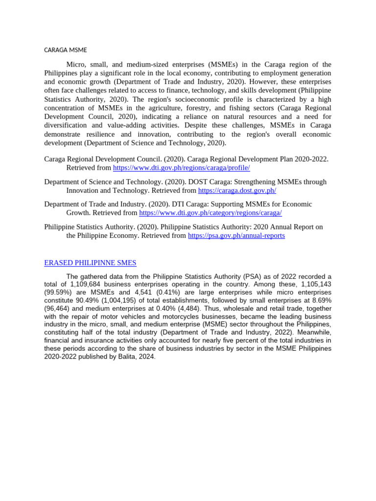 Caraga Smes | PDF
