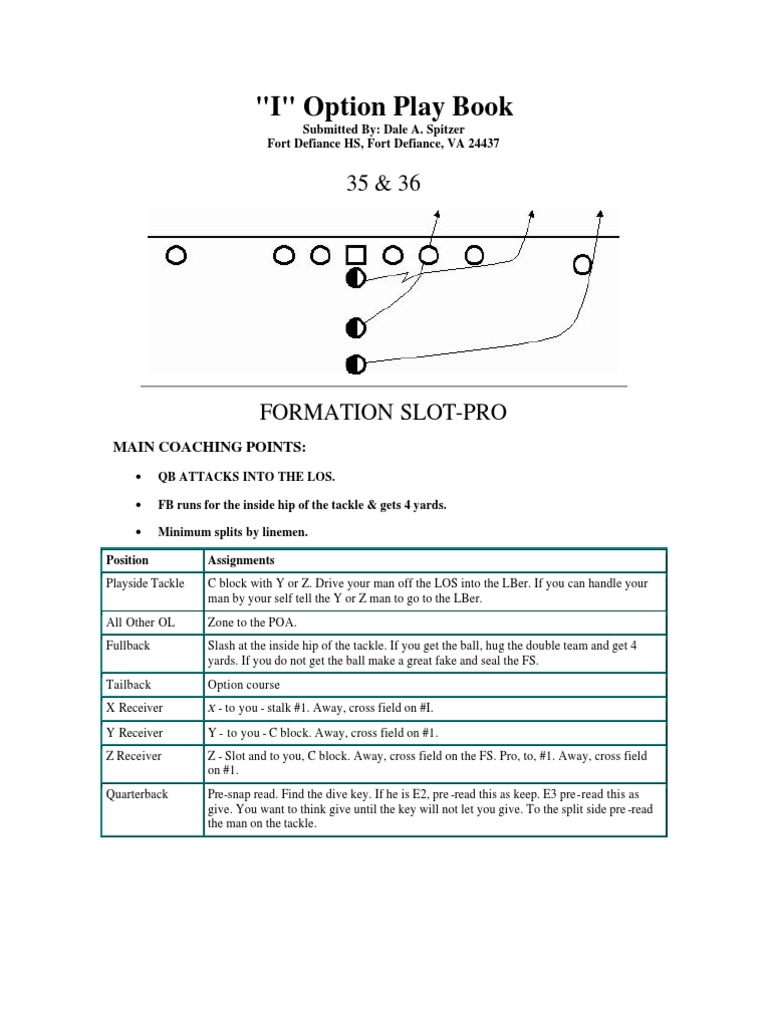 I Option Playbook | PDF | History