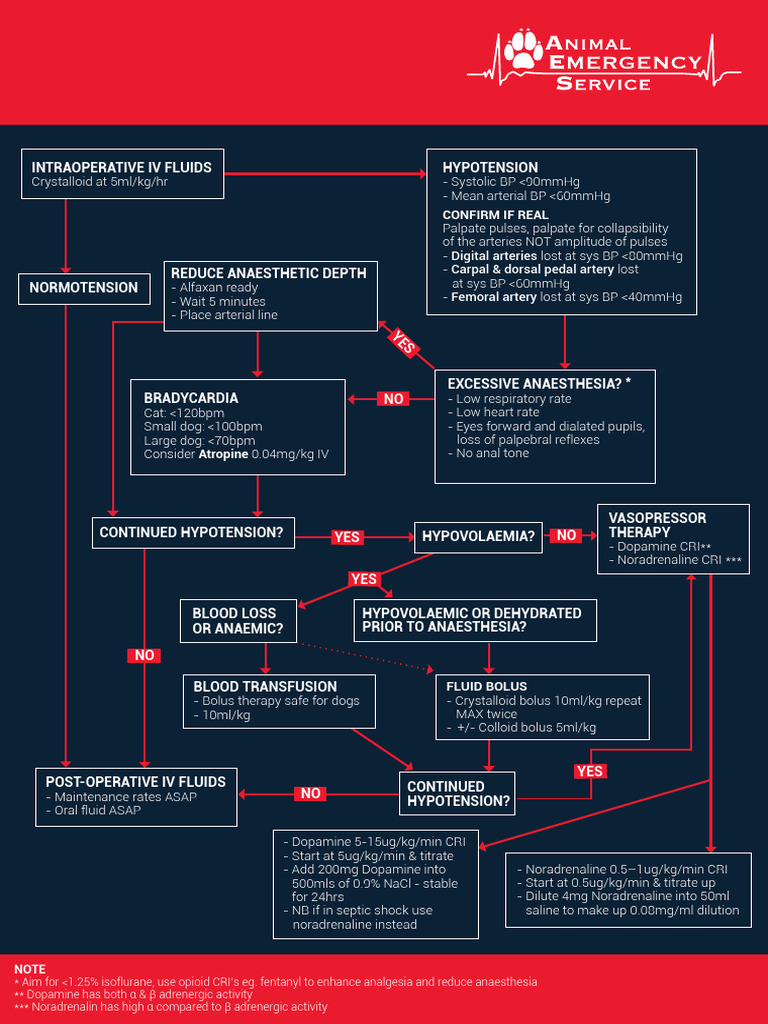 AES Hypotension-Flow-chart v8 | PDF