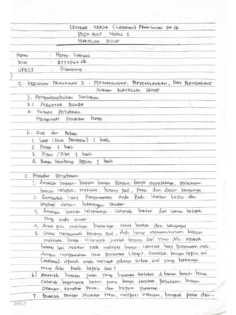 MODUL 1 PRAKTIKUM IPA SD TENTANG PERKEMBANGBIAKAN TUMBUHAN BUNGA SEPATU ...