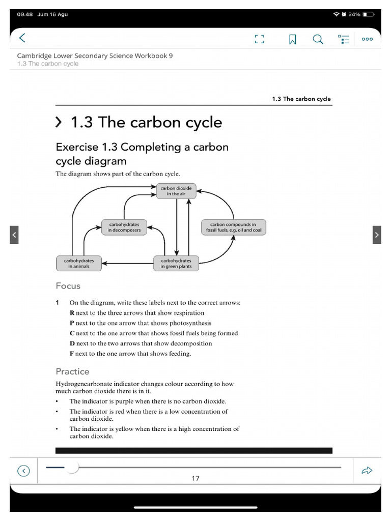 Workbook The Carbon Cycle | PDF