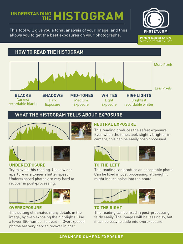Histogram | PDF