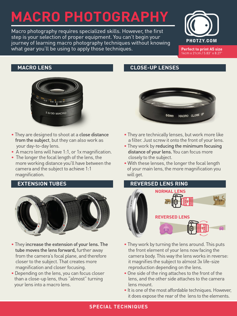 Macro Photography | PDF