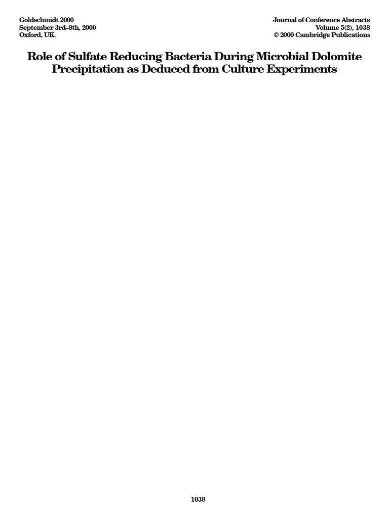 Primary Dolomite | PDF