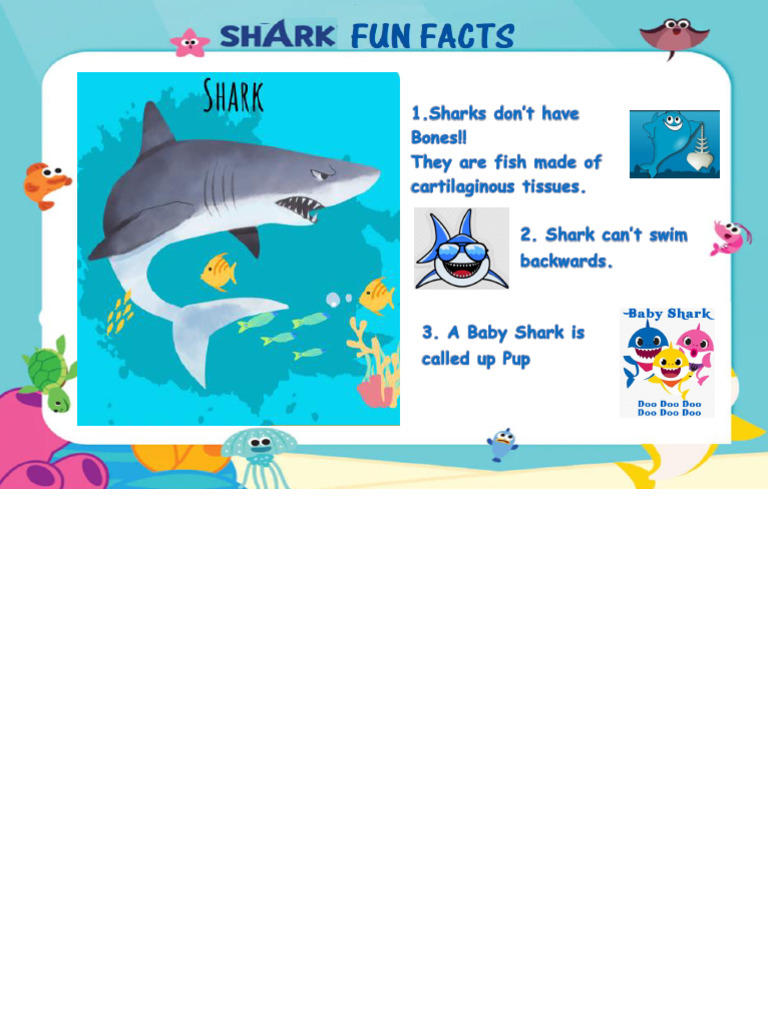 Shark Fun Fact | PDF